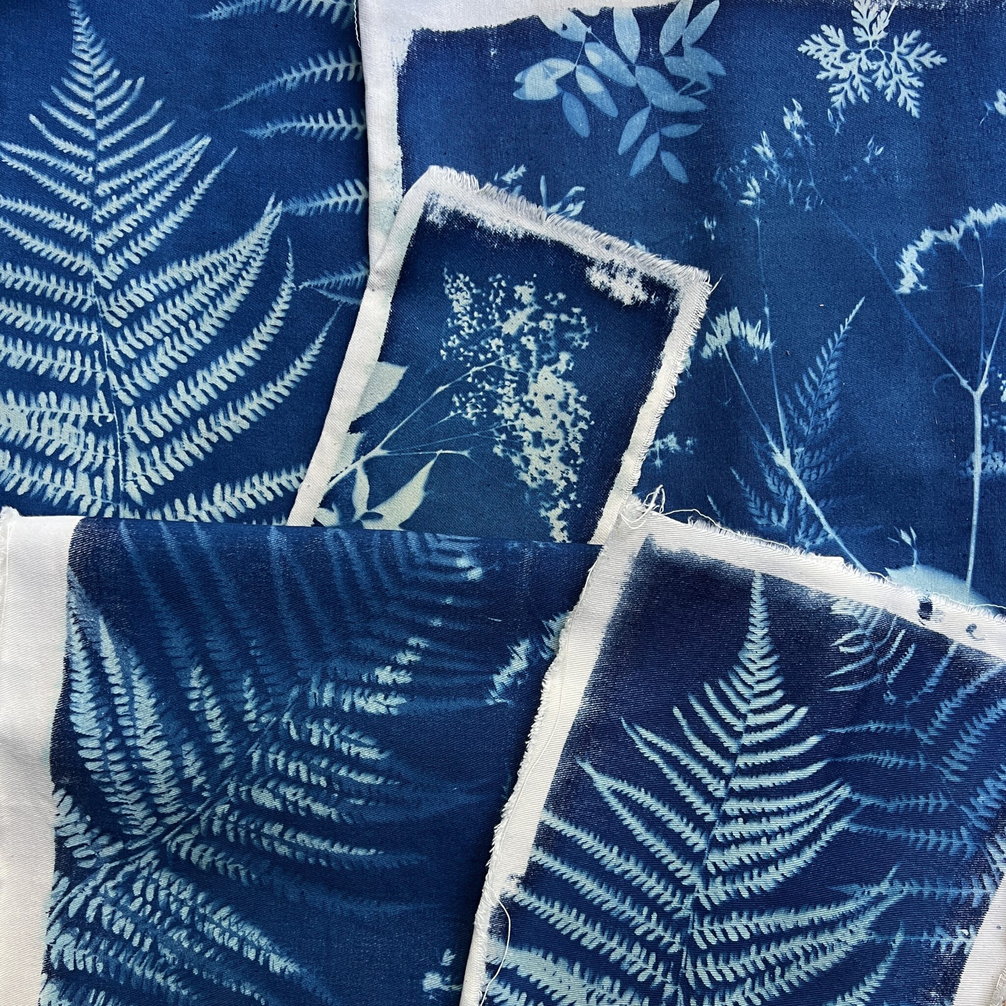 Comment réaliser des cyanotypes ? - Le Héron Graveur